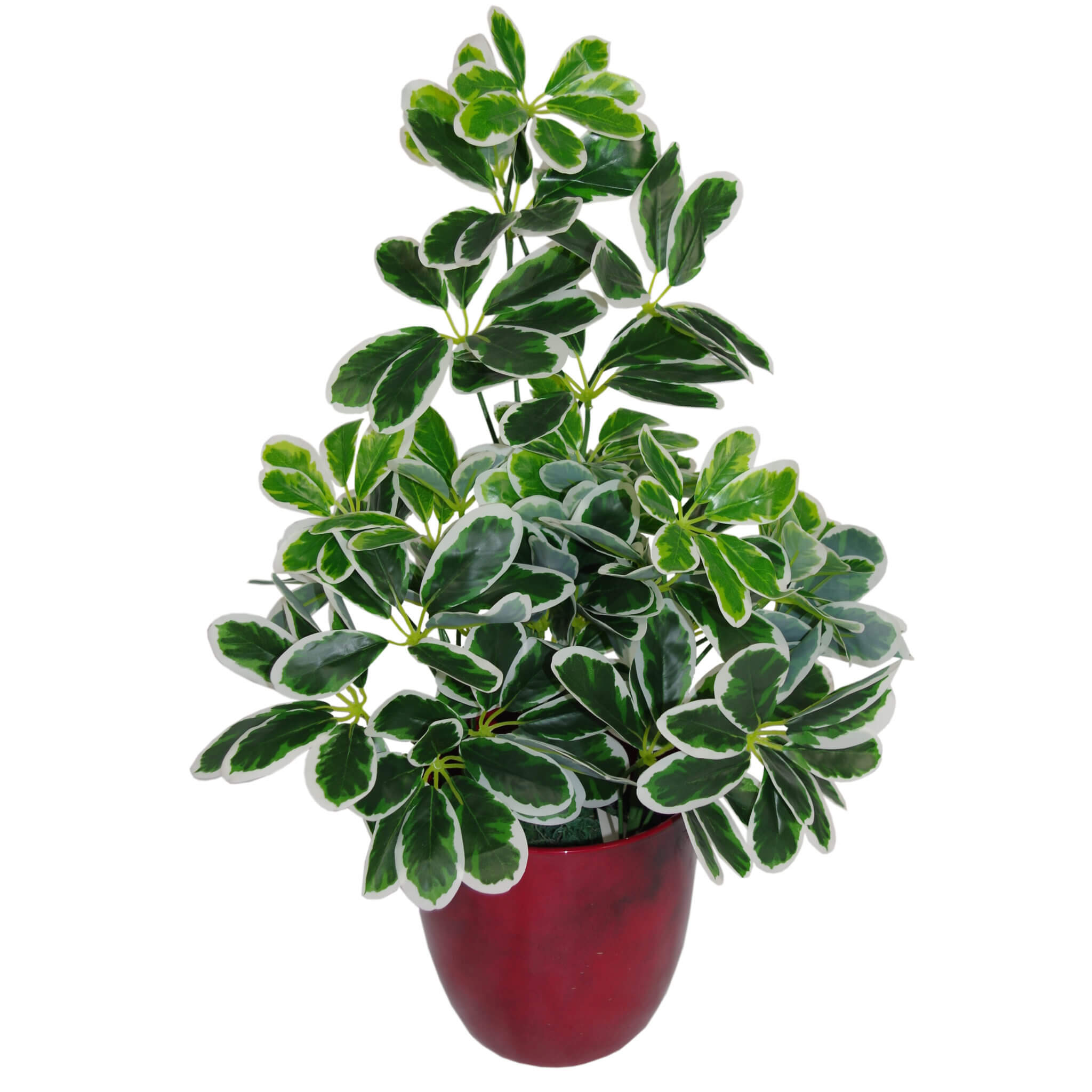 55cm Variegated Artificial Schefflera Arboricola Plant - Leaf Design ...