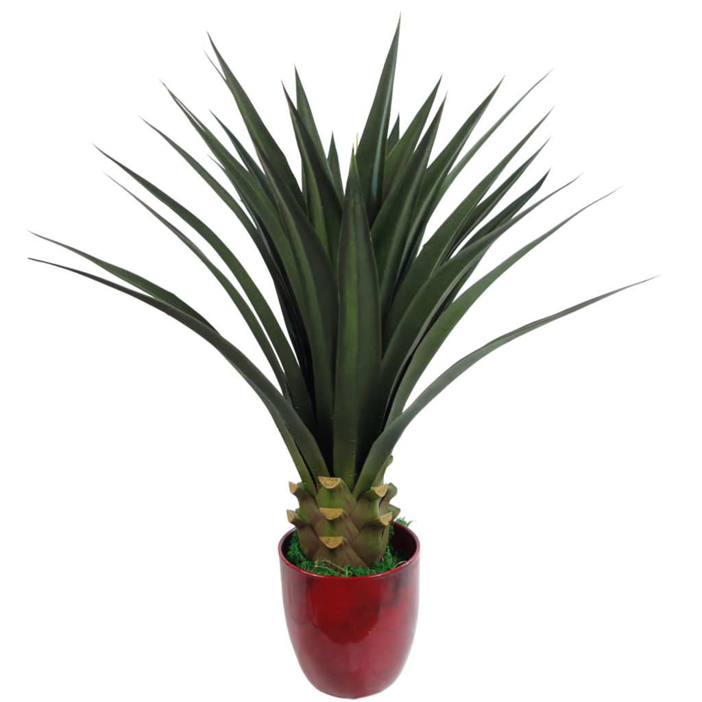 Shop - Leaf Design Wholesale
