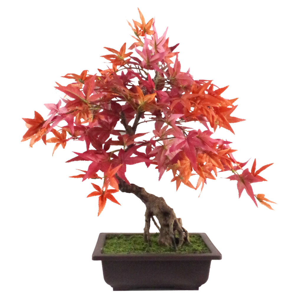 Shop - Leaf Design Wholesale