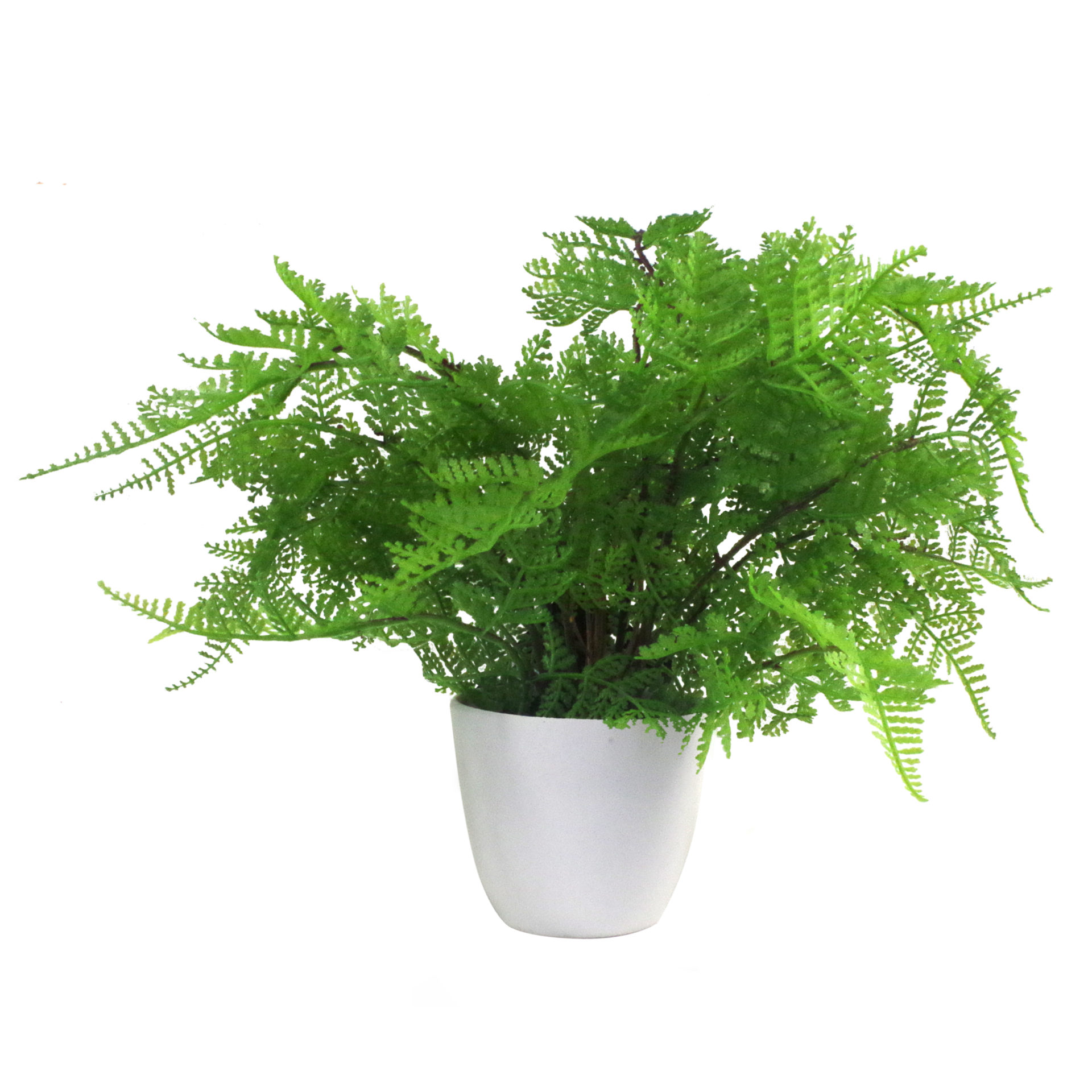 30cm Artificial Potted Lady Fern (Athyrium Filix-Femina) - Leaf Design ...