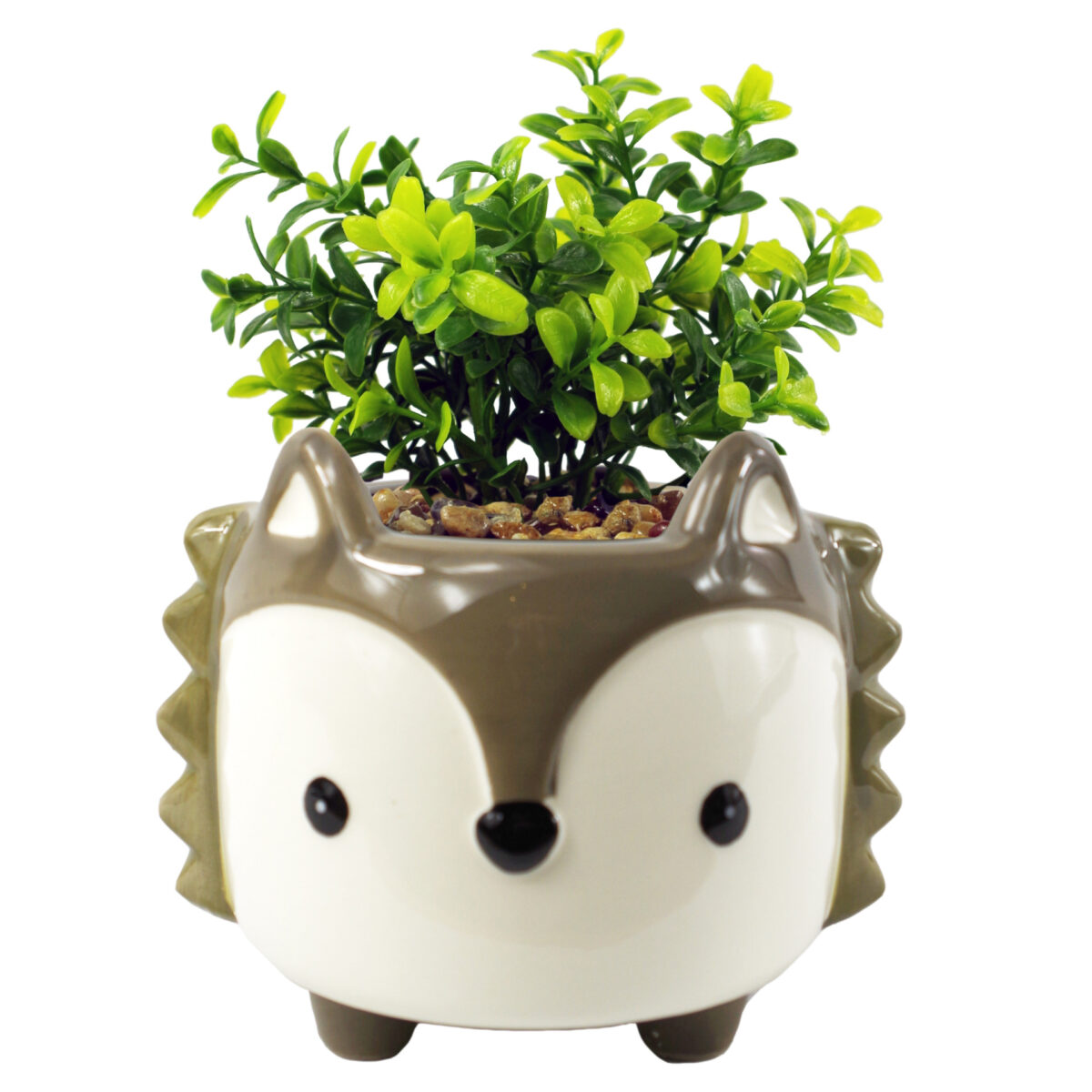 Shop - Leaf Design Wholesale