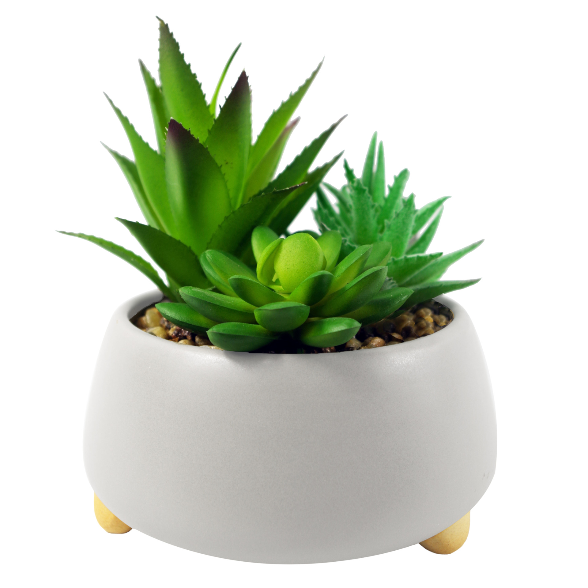 Shop - Leaf Design Wholesale