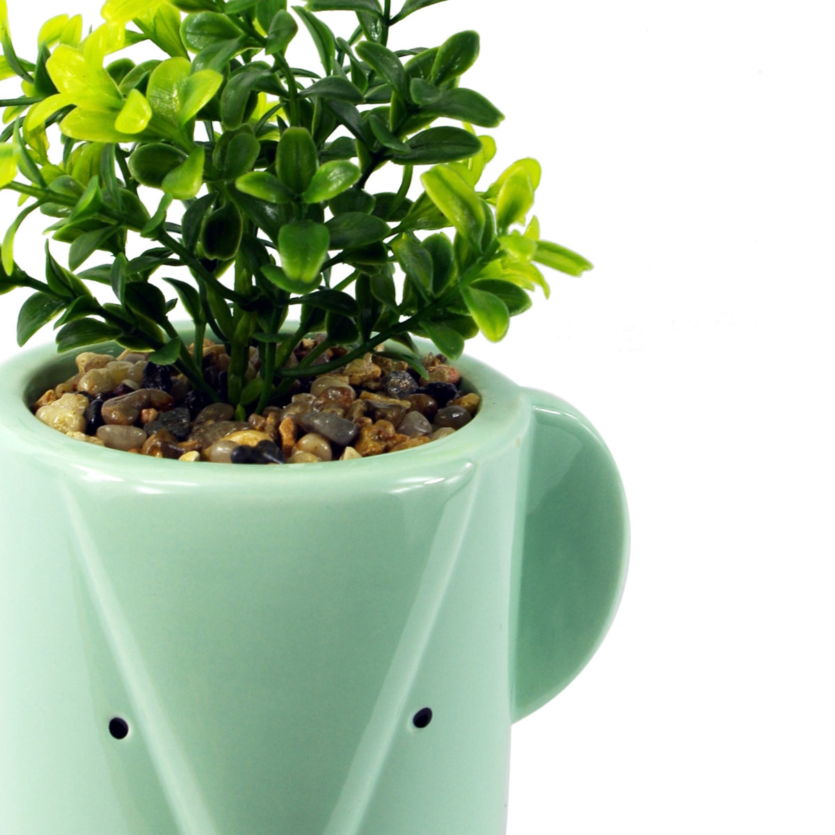 Shop - Leaf Design Wholesale