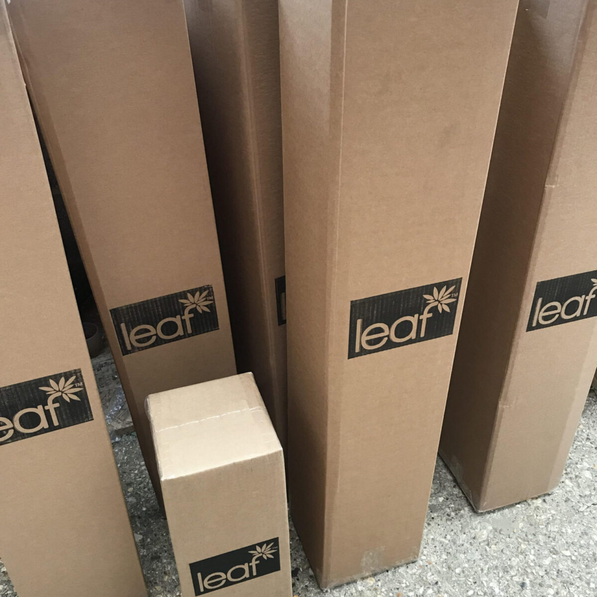 Packaging Boxes - Leaf Design Wholesale