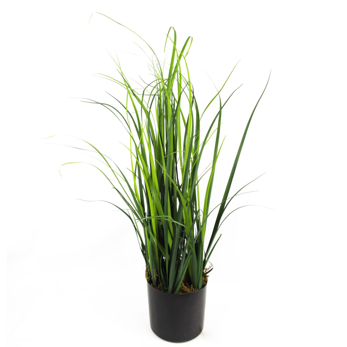 Shop - Leaf Design Wholesale