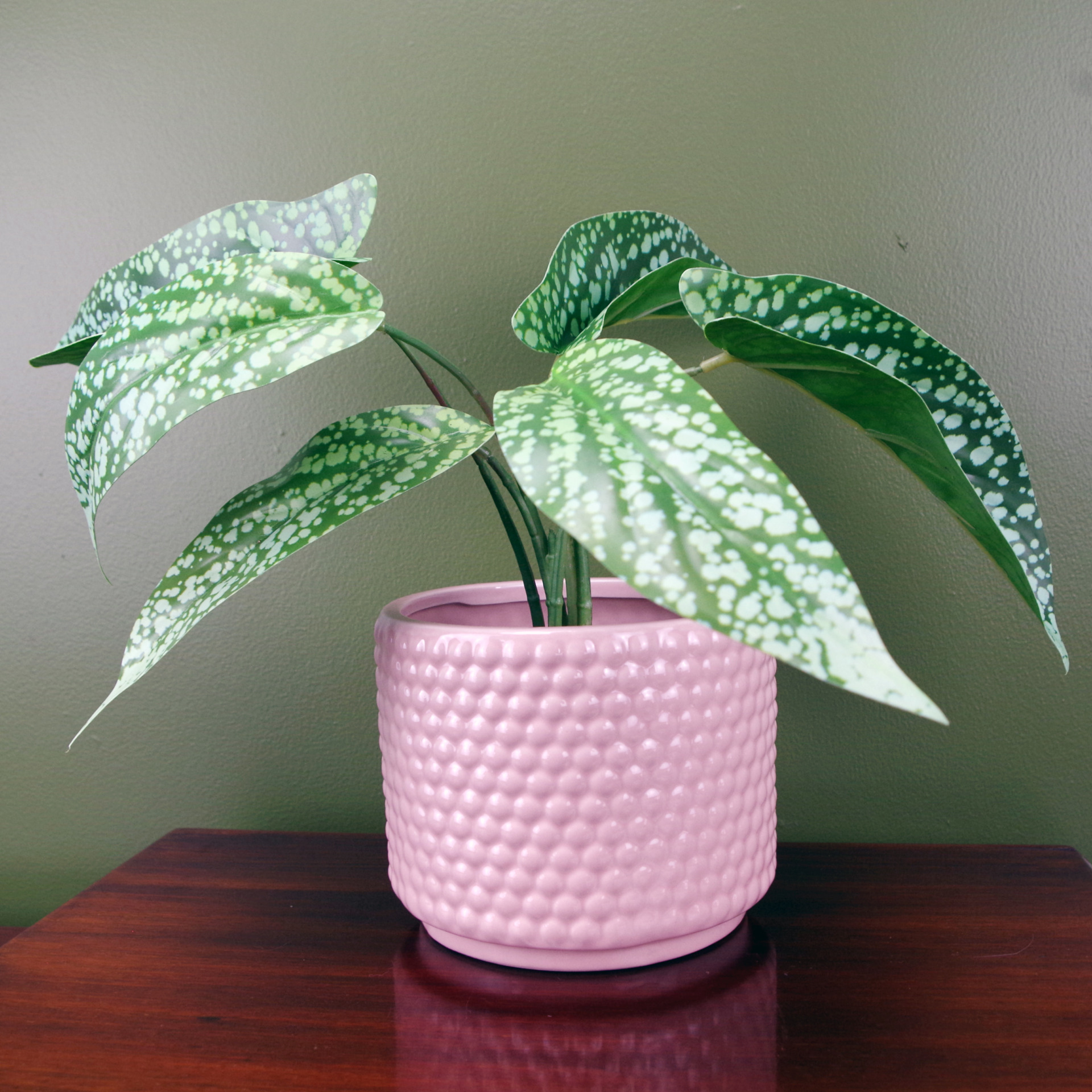 35cm Artificial Spotted Leopard Plant in Planter - Leaf Design Wholesale