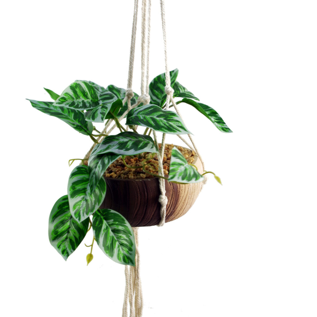Shop - Leaf Design Wholesale