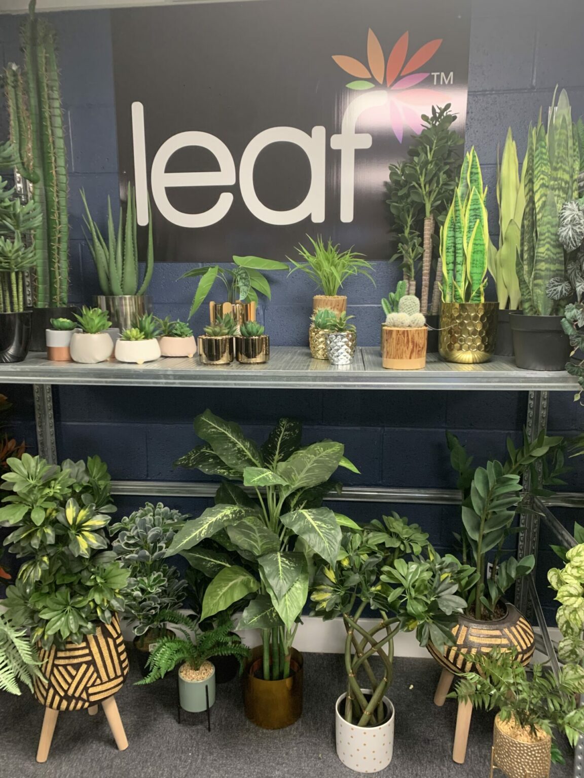 Contact & About Us - Leaf Design Wholesale