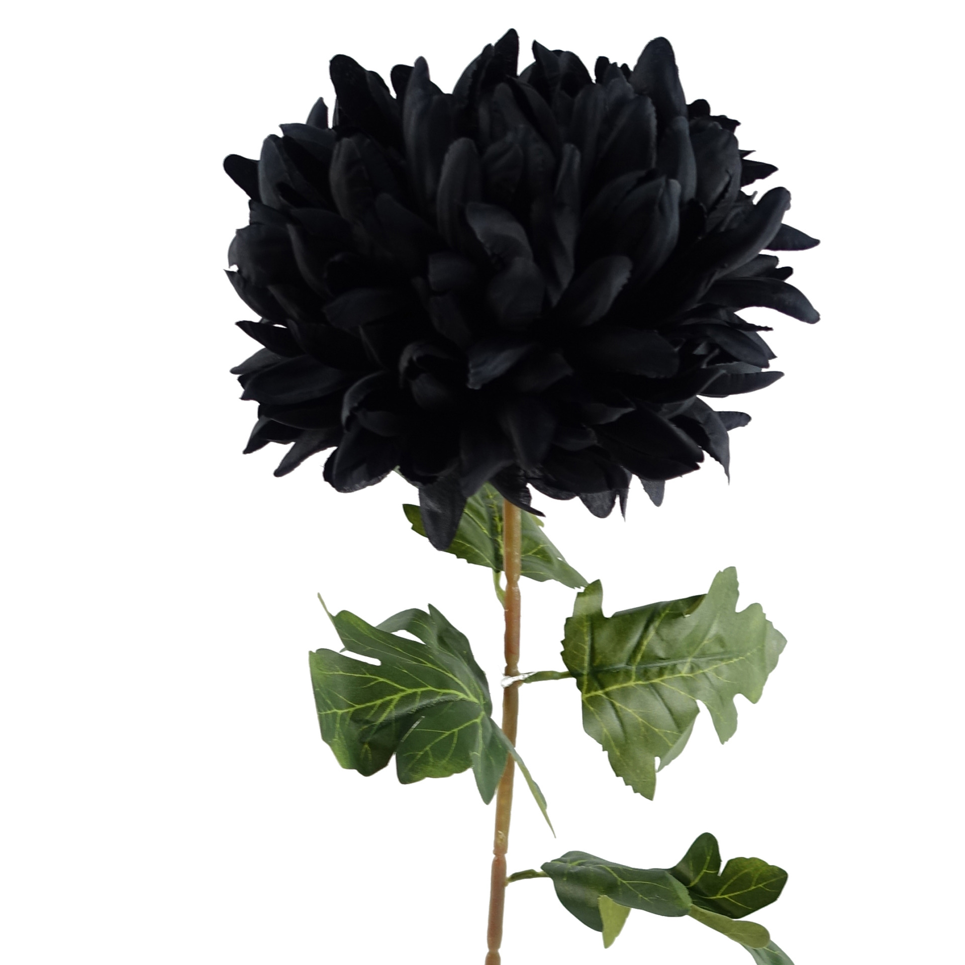 75cm Extra Large Reflex Chrysanthemum - Black - Leaf Design Wholesale