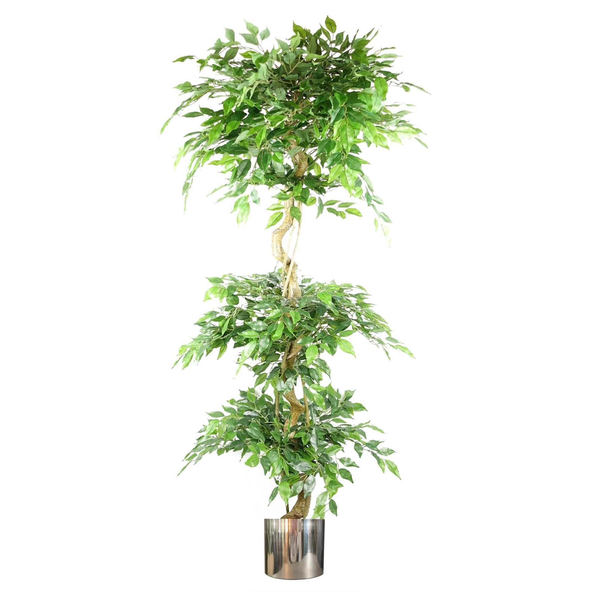 180cm Artificial Twisted Trunk Fruticosa Ficus Tree Triple Ball Topiary ...