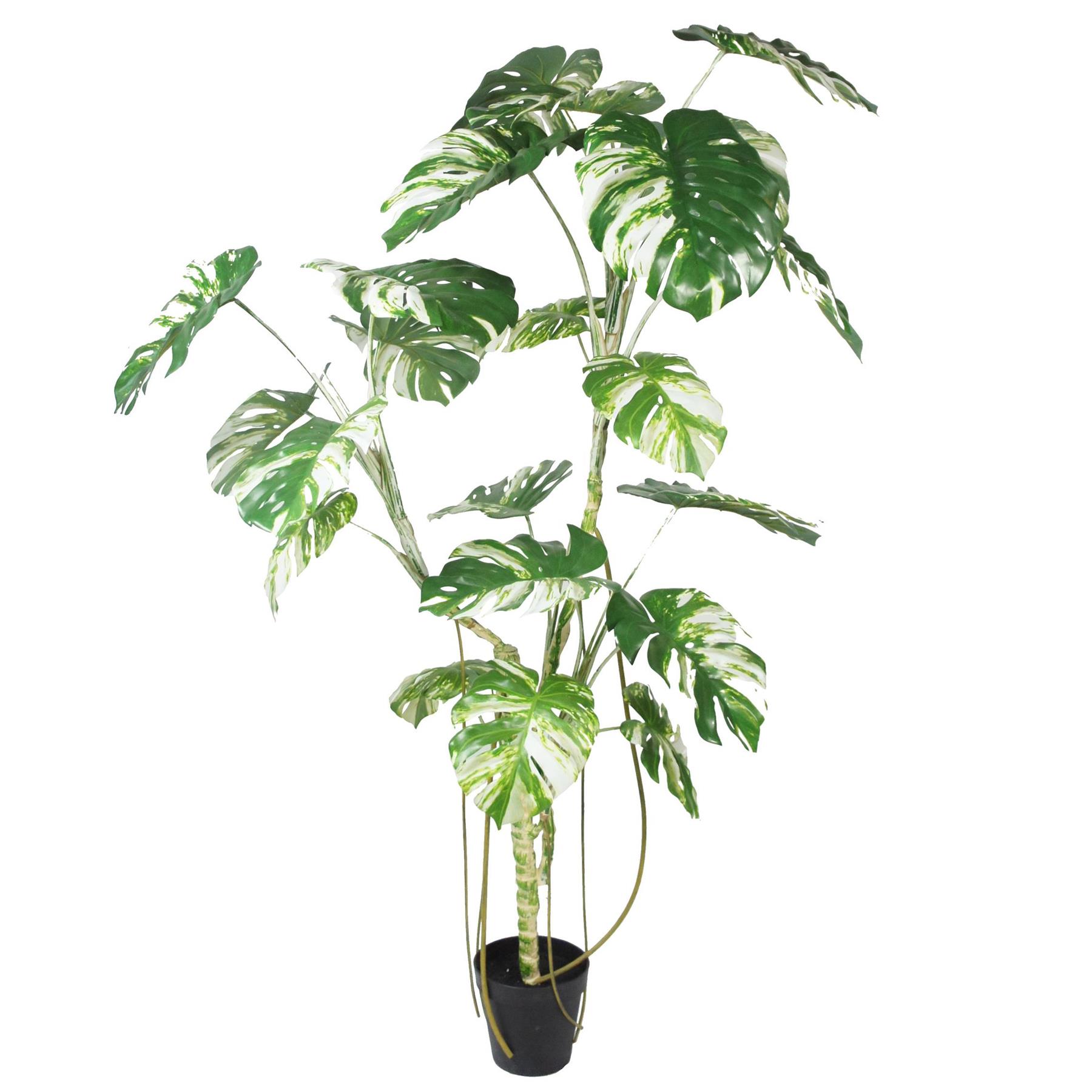 210cm Variegated Monstera Realistic Artificial Tree - Leaf Design Wholesale