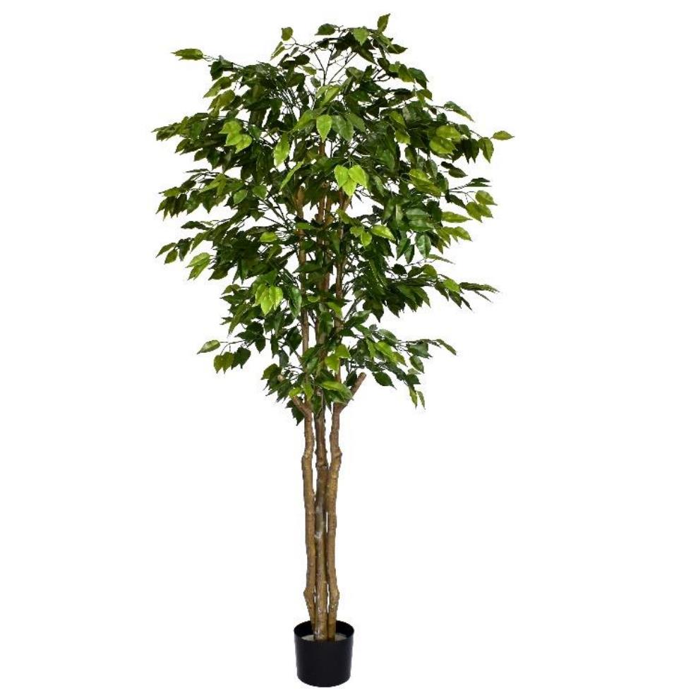 180cm Fire Retardant Deluxe Retusa Ficus Tree With 1134 Leaves - Leaf ...