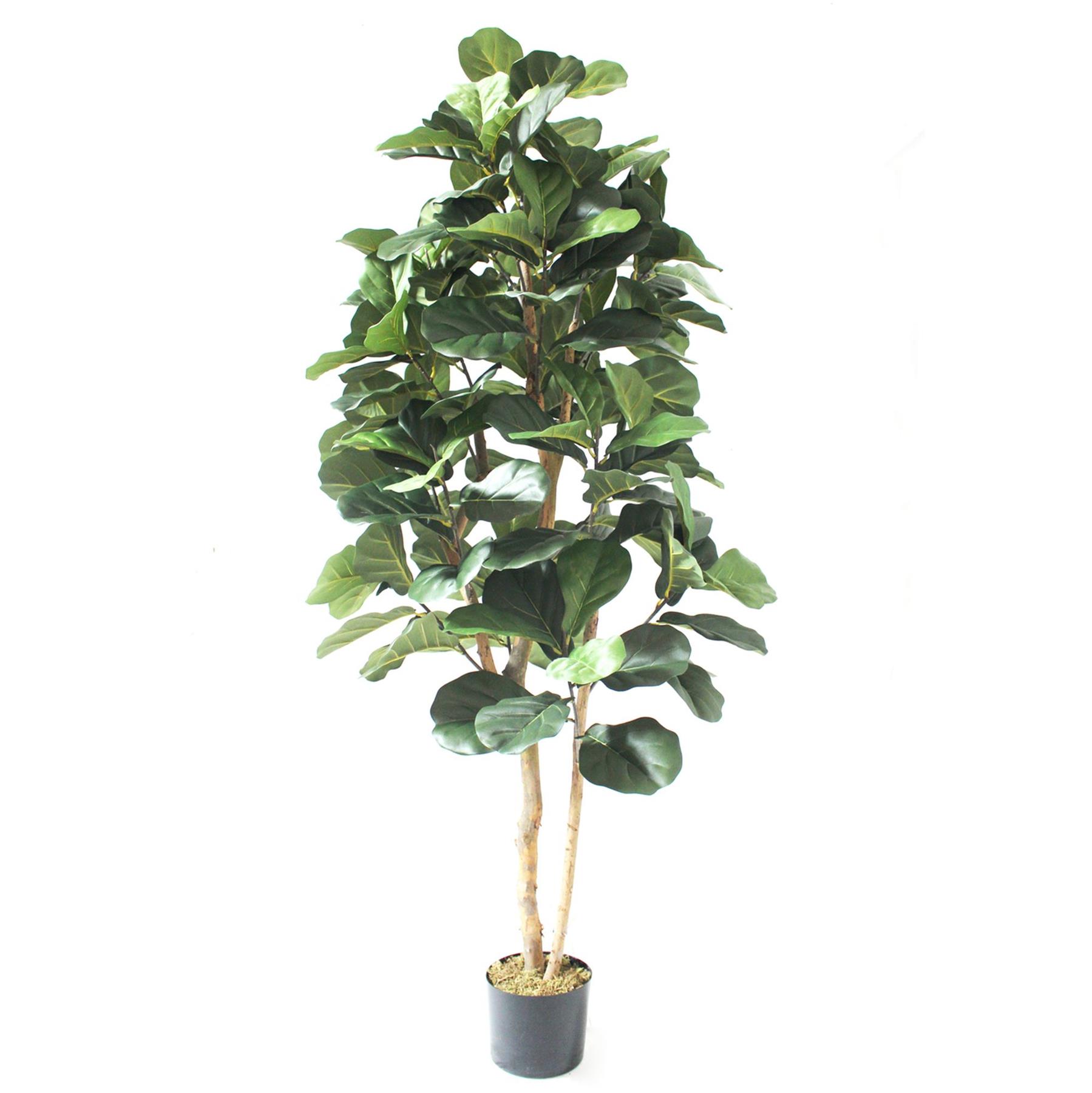 180cm Artificial Fiddle Fig Deluxe Tree - Leaf Design Wholesale